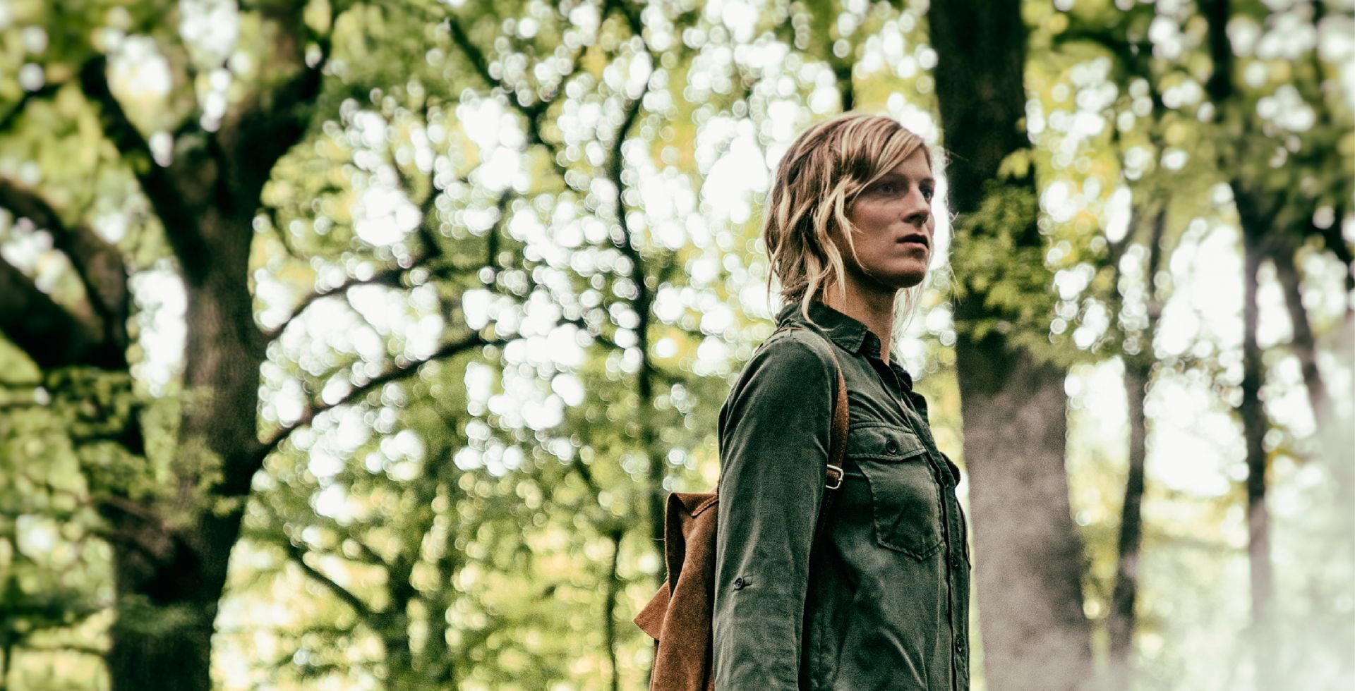 The Forest (La Forêt) - About Premium Content