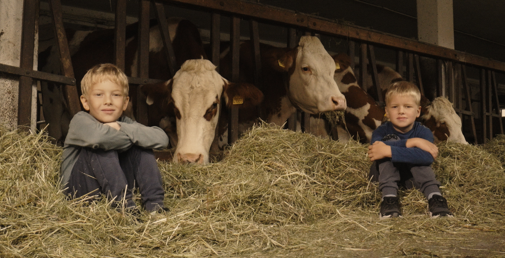 Microbes Welcome! - 2025 - About Premium Content